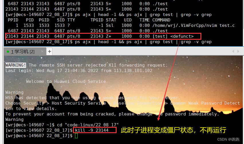 进程控制的理解_wifexited(status)-CSDN博客
