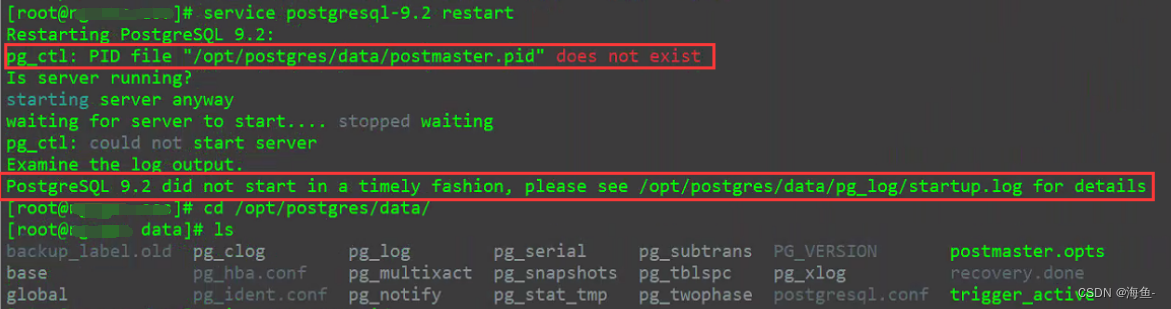 Postgresql pg Ctl PID File opt postgres data postmaster pid Does Not Exist CSDN 