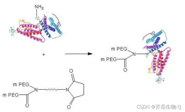 NH2-PEG-Ad 氨基聚乙二醇金刚烷 Amine-PEG-Ad-CSDN博客