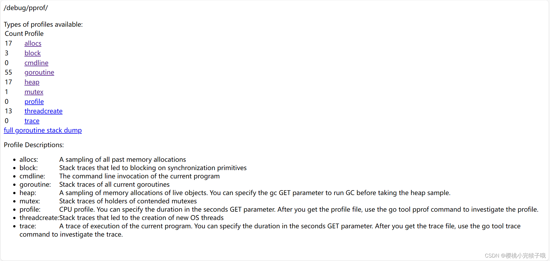手把手教你使用 pprof-CSDN博客