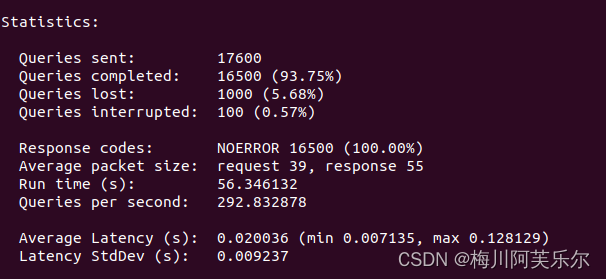 Dnsperf搭建与使用-CSDN博客