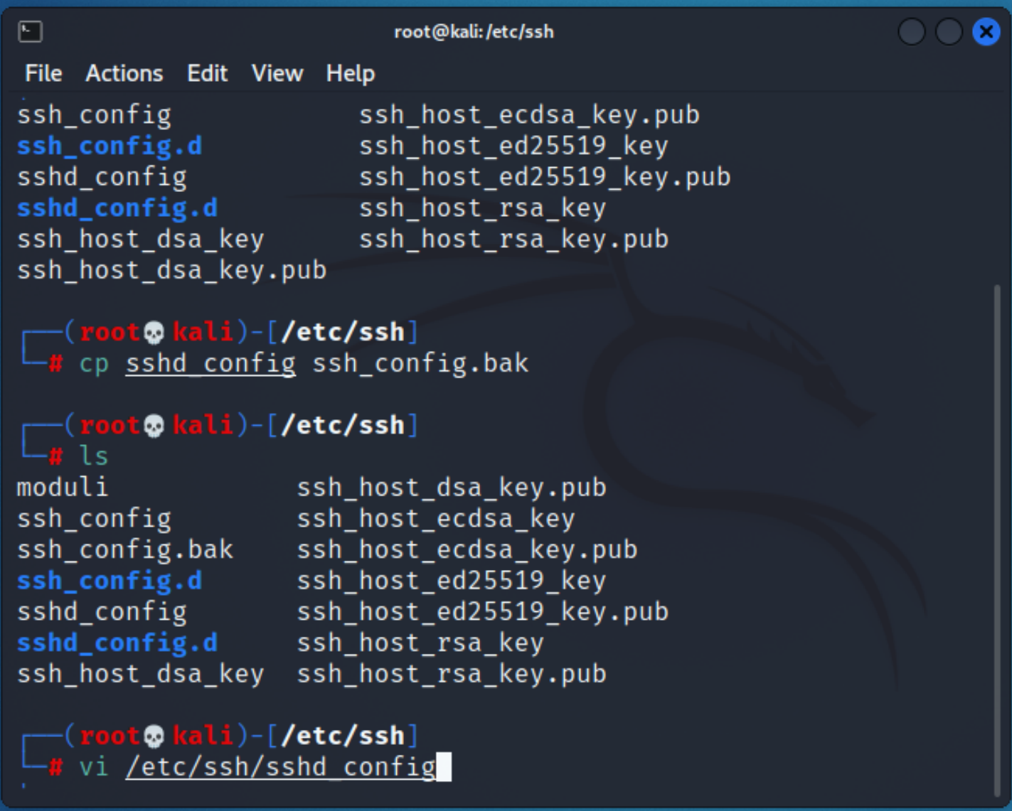 [kali配置ssh远程登录]--配置参数以及排查问题_kali ssh远程登录-CSDN博客