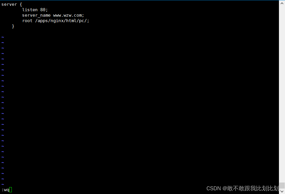 Nginx服务与调优-CSDN博客