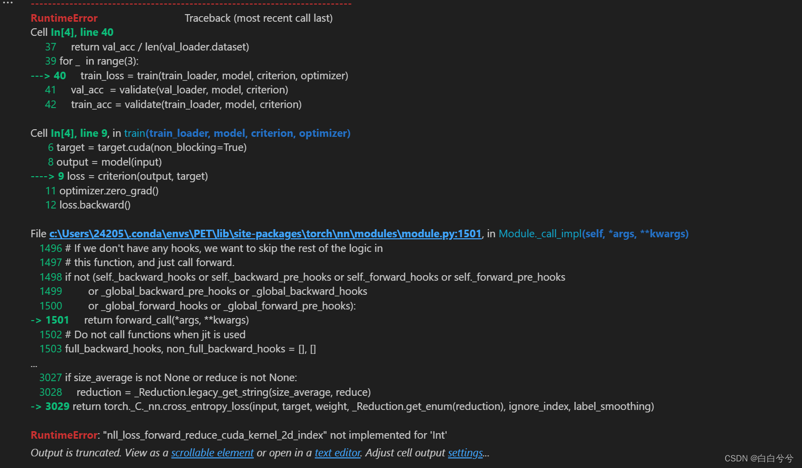 DataLoader worker (pid(s) 13424) exited unexpectedly “nll_loss_forward_reduce_cuda_kernel_2d ...