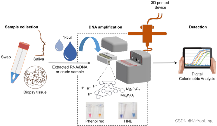 便携式现场快速诊断平台(LAMP+比色检测)_3d打印 lamp pcr-CSDN博客