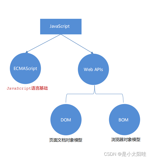 初识js（变量数据类型类型转换）js变量为数字类型 Csdn博客