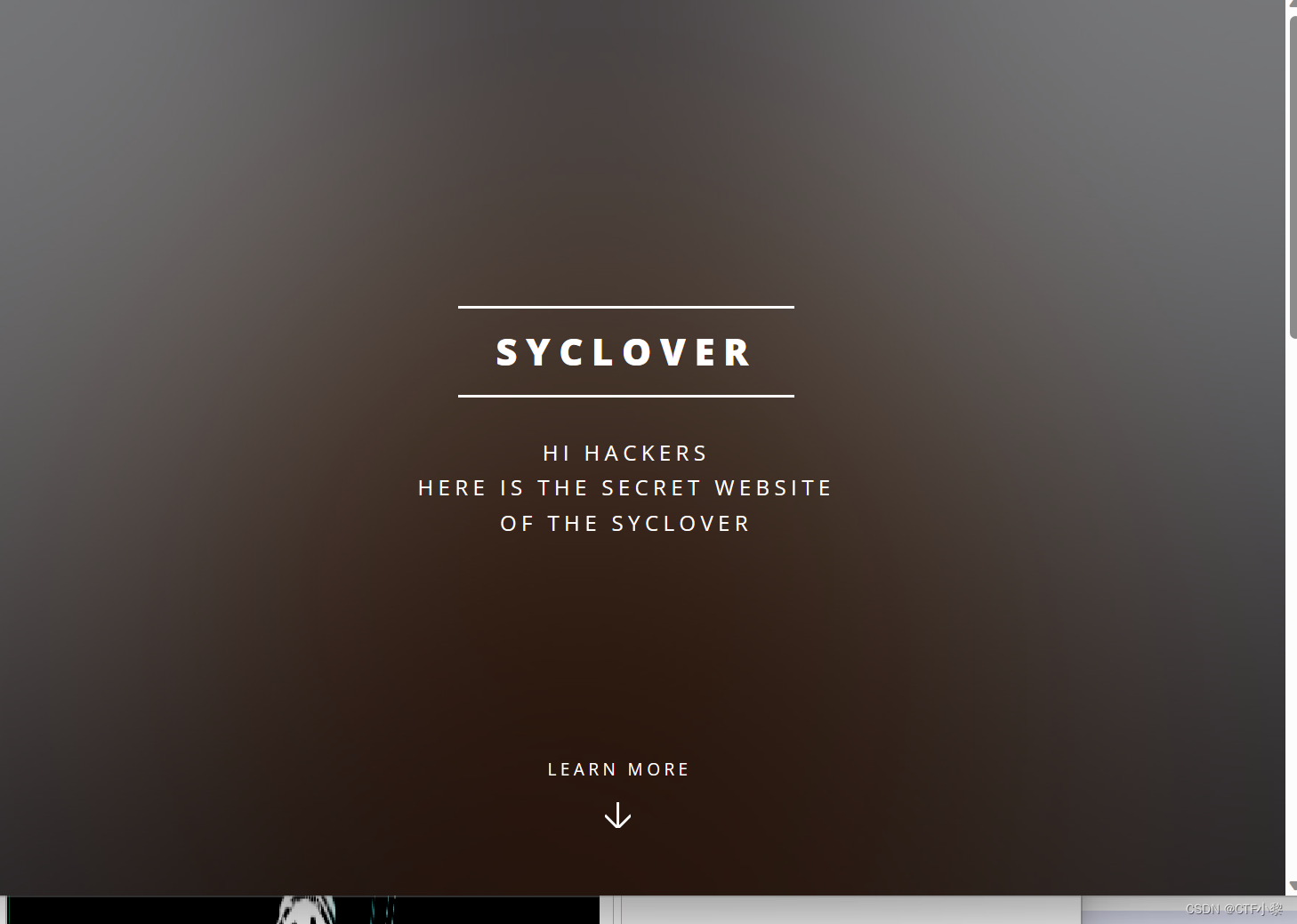 Buu的[极客大挑战 2019]Http1超级详解-CSDN博客