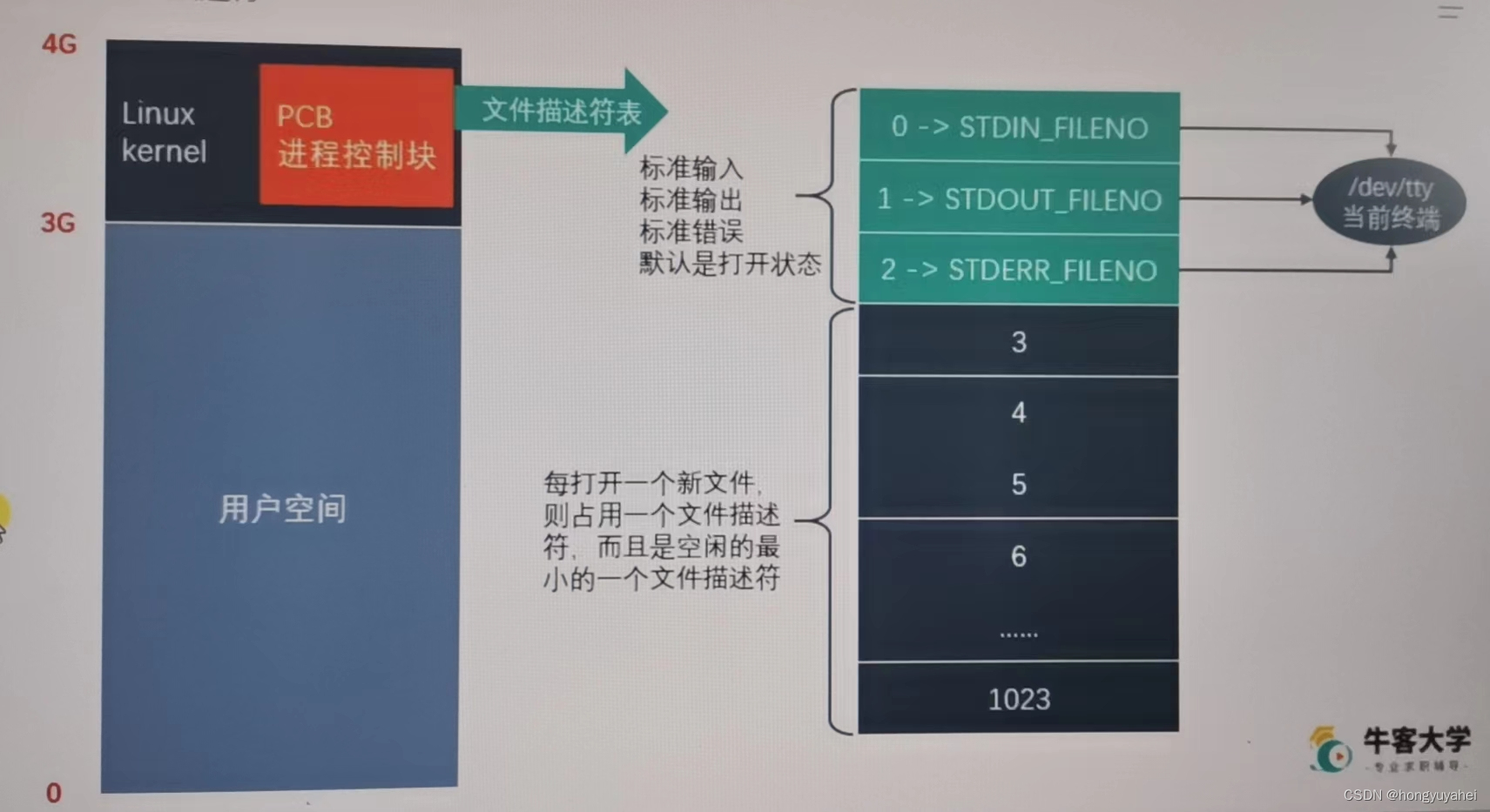 标注c库io函数和linux系统io函数对比标准c文件io和linux文件io的区别 Csdn博客