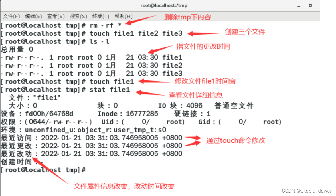 Linux基础命令（1） Csdn博客 