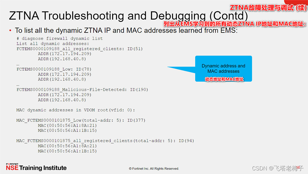 教程篇(7.0) 06. 零信任网络访问ZTNA FortiClient EMS Fortinet 网络安全专家 NSE 5_飞塔 8010 ...