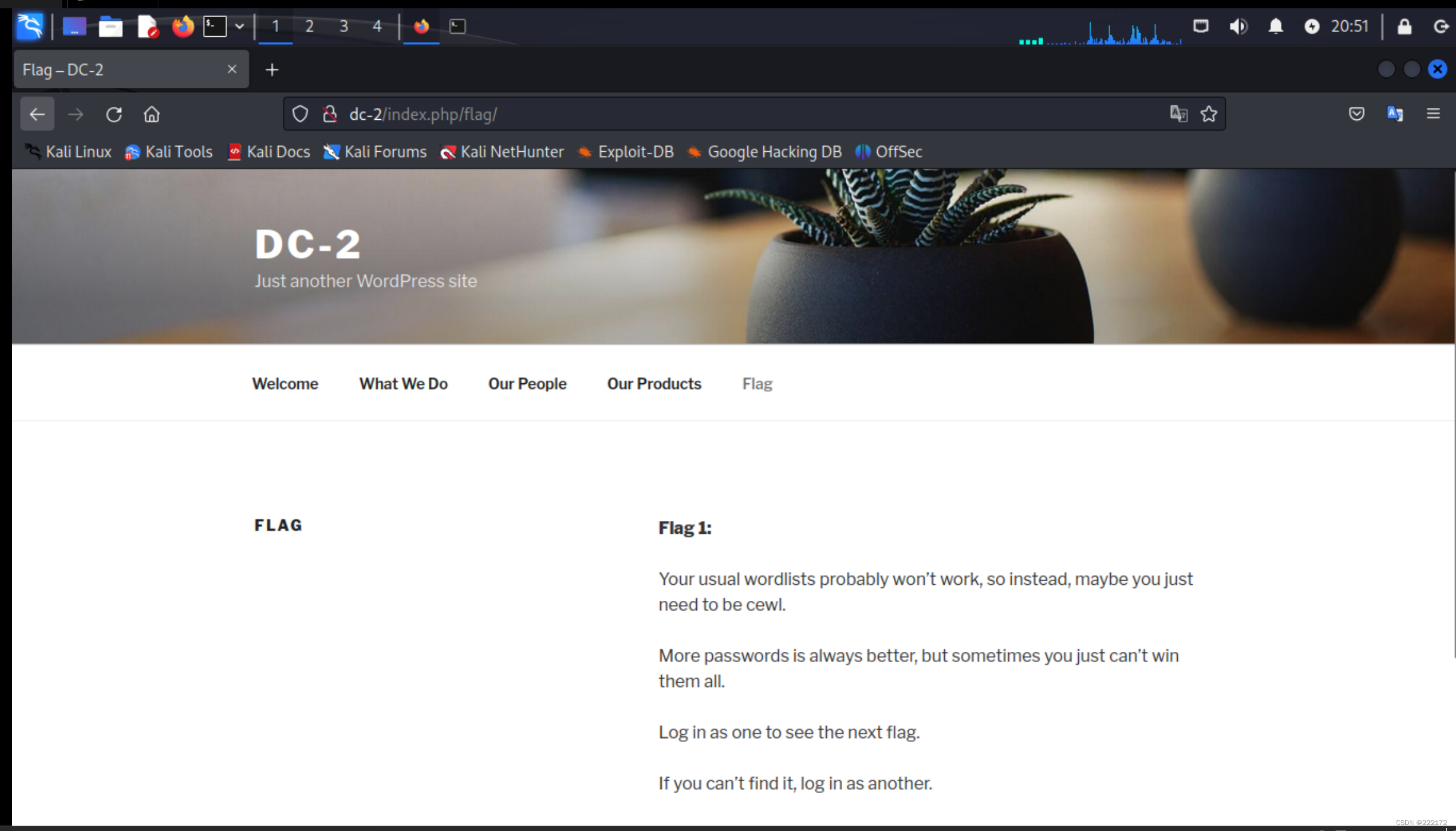 DC-2靶场搭建及渗透_dc2靶场-CSDN博客