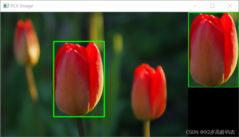 Opencv快速入门:绘制图形、图像金字塔和感兴趣区域opencv 图形绘制练习 Csdn博客