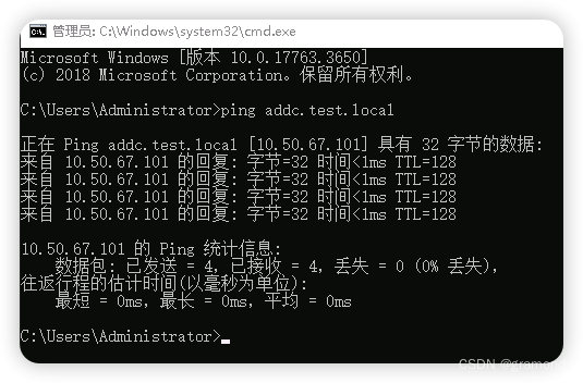DNS搭建教程（Windows Server 2019）_win10搭建dns服务器-CSDN博客