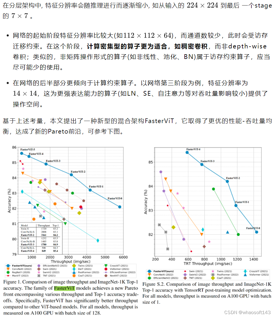 FasterViT-CSDN博客