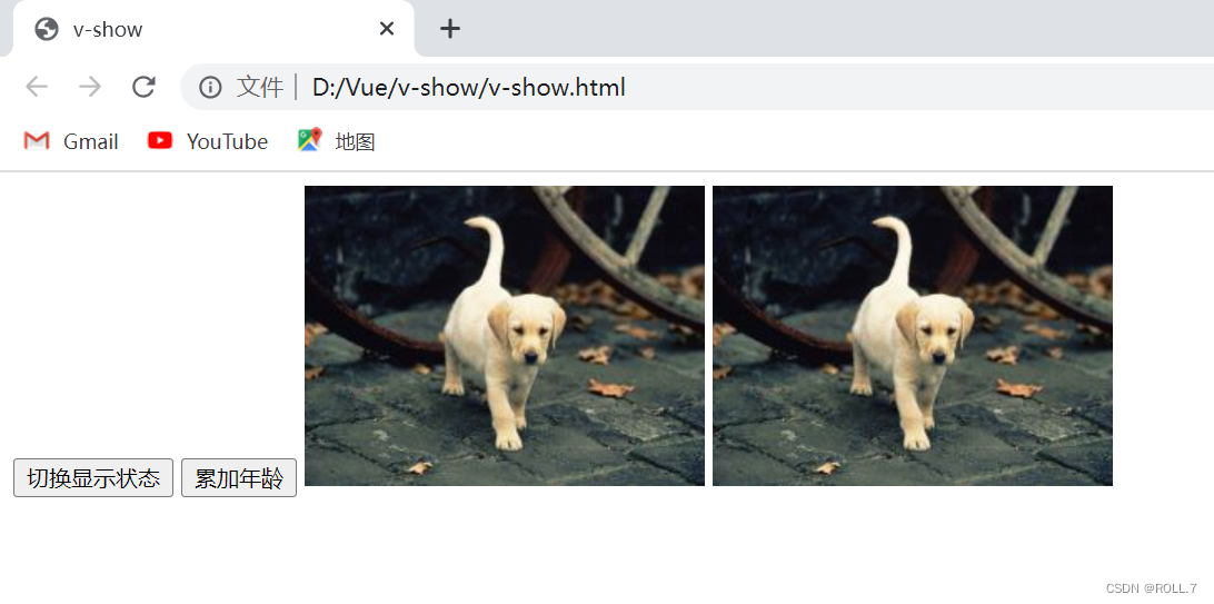 Vue中v-show指令的特点以及代码实现_v-show 指令的特点是-CSDN博客