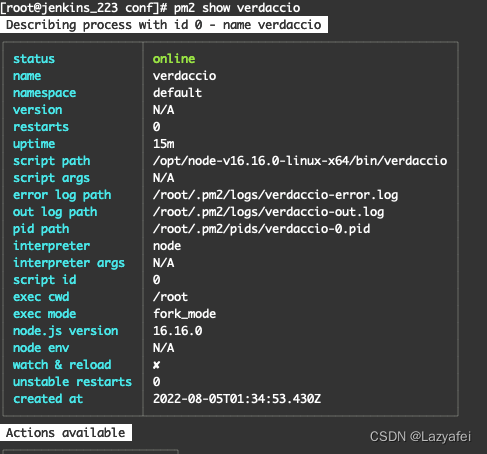 Verdaccio简单安装_verdaccio安装-CSDN博客