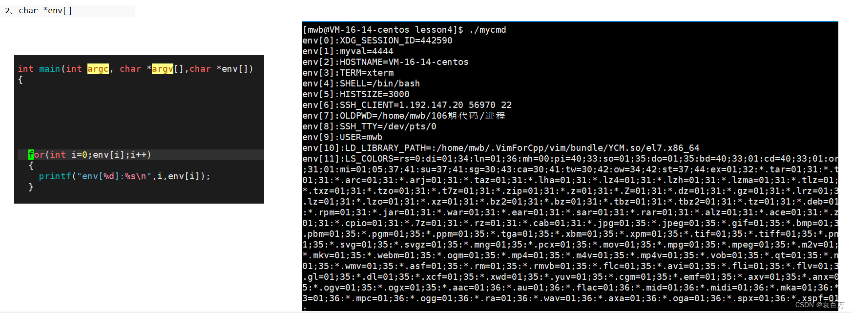 Linux——环境变量与地址空间_linux默认环境变量有哪些在哪个文件夹-CSDN博客
