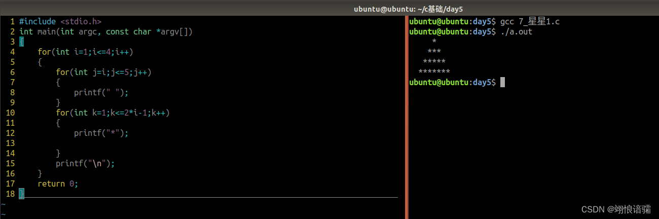 c基础第五天-CSDN博客