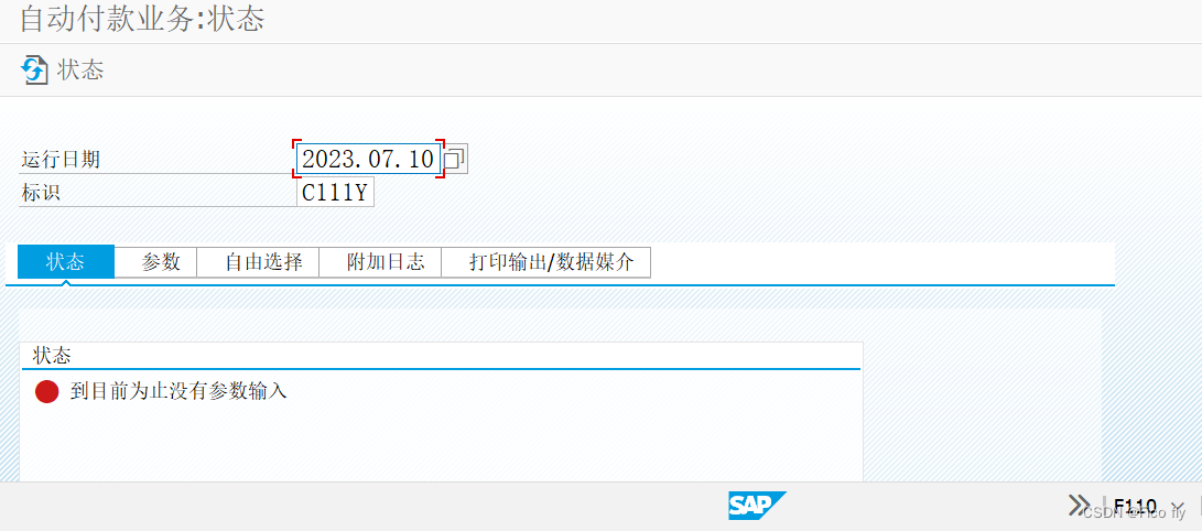 【SAP 异常解决 】 F110 - 自动付款参数_sap f110-CSDN博客