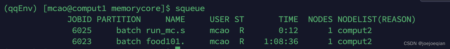 曙光超算slurm作业使用_曙光提交任务显示(resources)-CSDN博客