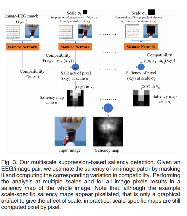 论文笔记：Decoding Brain Representations by Multimodal Learning of Neural ...