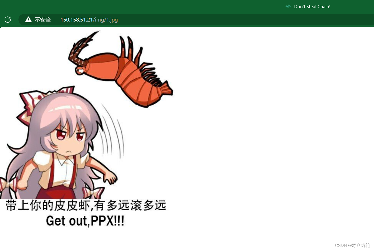 Nginx配置referers防盗链(示意图代码举例)nginx防盗链 Referer Csdn博客