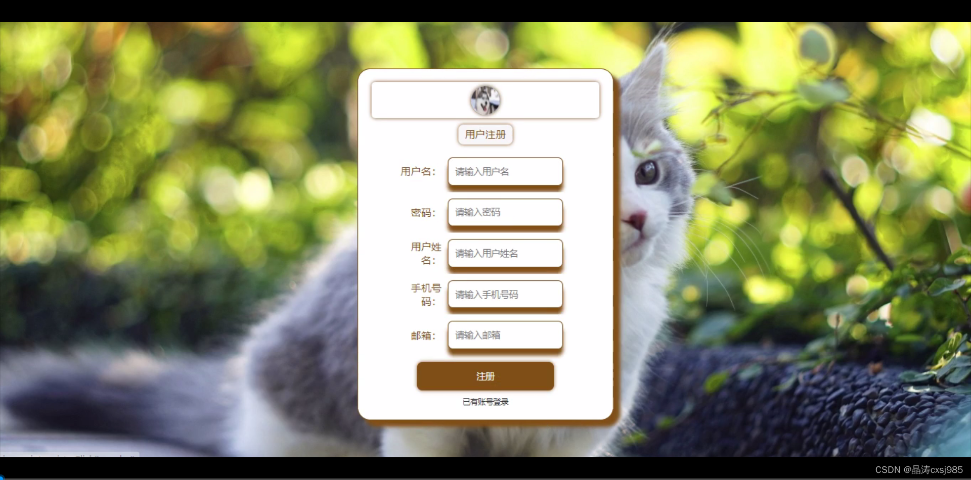 Java毕设项目校园流浪猫图鉴管理系统的设计与实现计算机（附源码系统数据库lw）校园流浪猫数据 Csdn博客