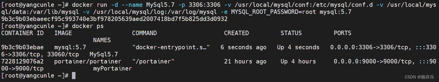 Docker安装mysql Docker安装指定版本mysql Csdn博客