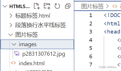 HTML05：图片路径详解_html图片路径-CSDN博客