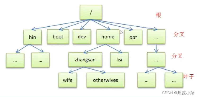 Linux基础目录和文件管理1 Csdn博客