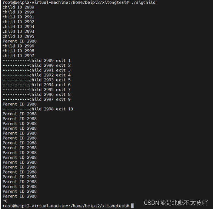 Linux系统编程之捕捉SIGCHLD_怎么捕捉sigchld进程-CSDN博客