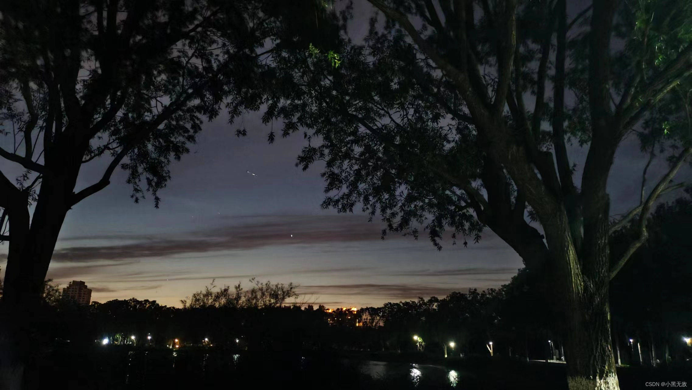 小黑眼睛开始恢复每天点四次眼药，跟逗兄吃北新桥拉面散步跟随徐姐北工大图书馆小坐的leetcode之旅剑指 Offer 53 Ii 0～n 1中缺失的数字 Csdn博客