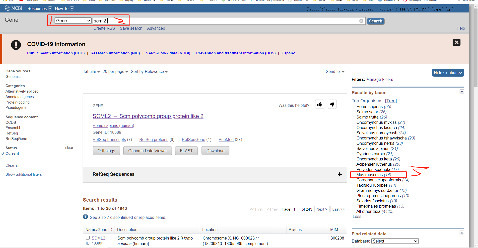 知道某基因染色体位置信息，查找该基因染色体位置之间的DNA序列_用ncbi查染色体位置上的基因-CSDN博客
