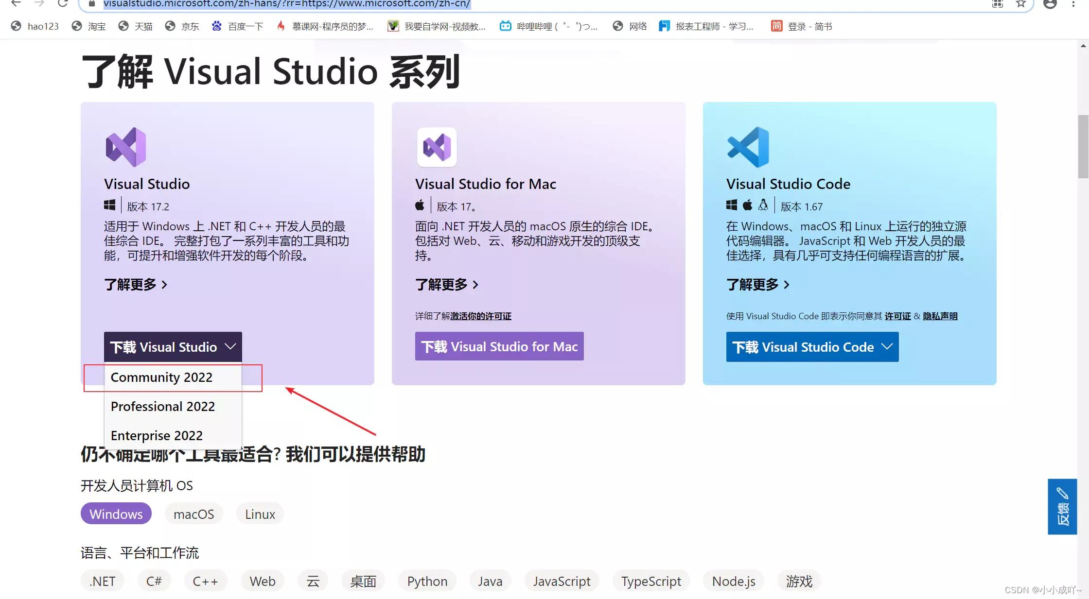 vs2022的下载及安装教程_avalonia vs2022模板离线下载-CSDN博客