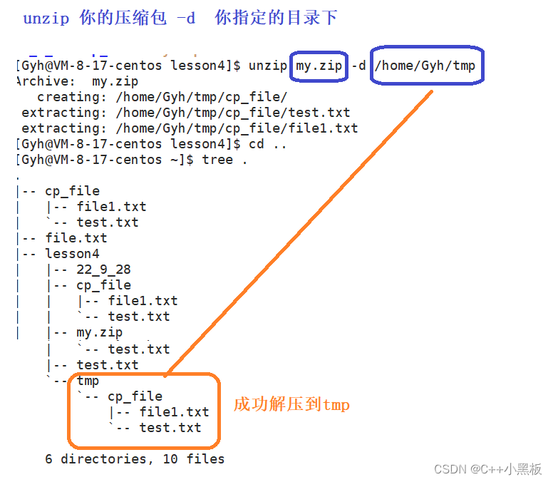 Linux入门基本操作3_lsmem-CSDN博客
