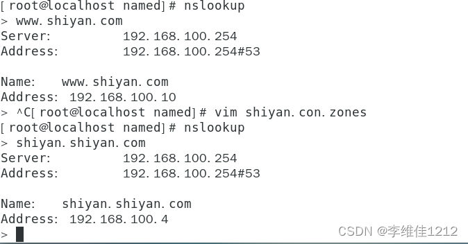 系统学习Linux-DNS服务器（一）_named zone 文件-CSDN博客