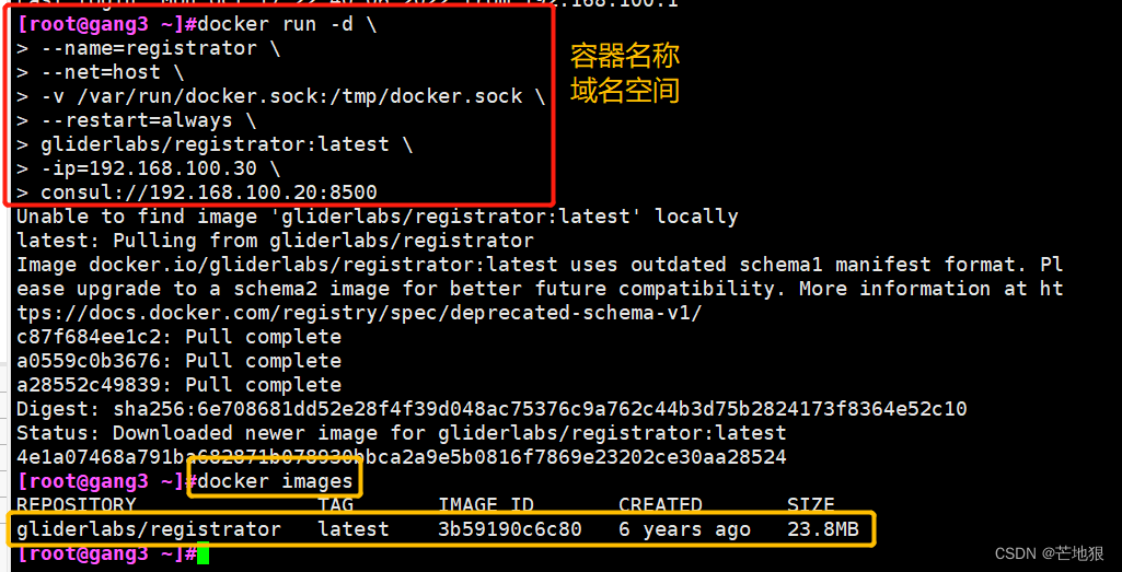 Docker容器-------Consul（注册中心）部署_consul 服务注册接口_芒地狠的博客-CSDN博客