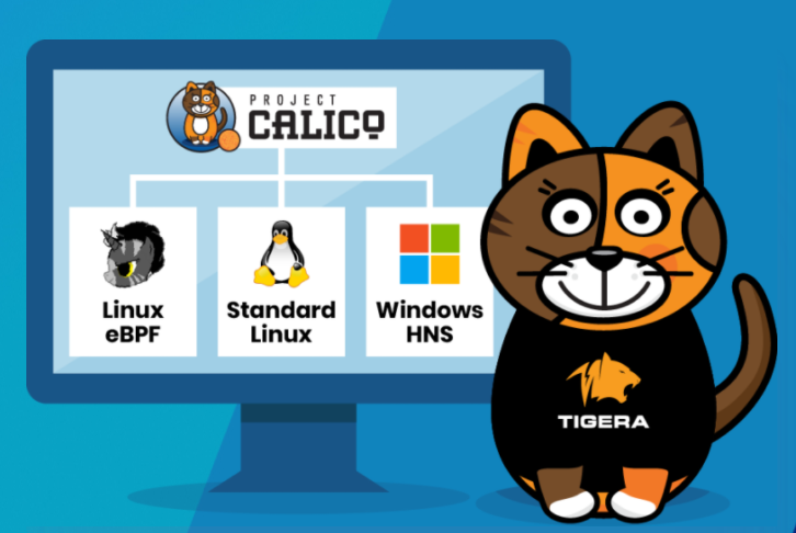 Calico的入门和网络优化_calico-typha-CSDN博客