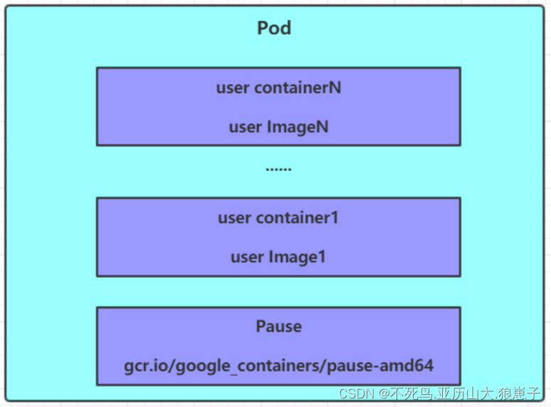 Kubernetes（5）：Pod详解之介绍与配置_pod跟容器 设置ip-CSDN博客