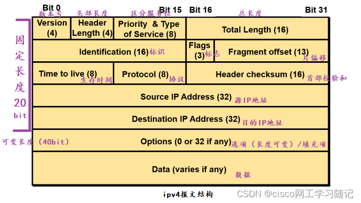 IP报头解析_ip header-CSDN博客