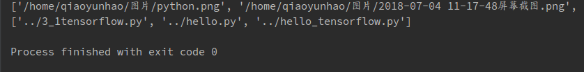 Python常用函数：glob.glob()：返回所有匹配的文件路径列表、glob.iglob()：获取一个可遍历生成器，使用它可以迭代获取 ...