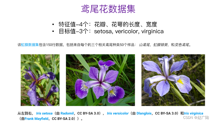 机器学习鸢尾花数据集分析 Csdn博客