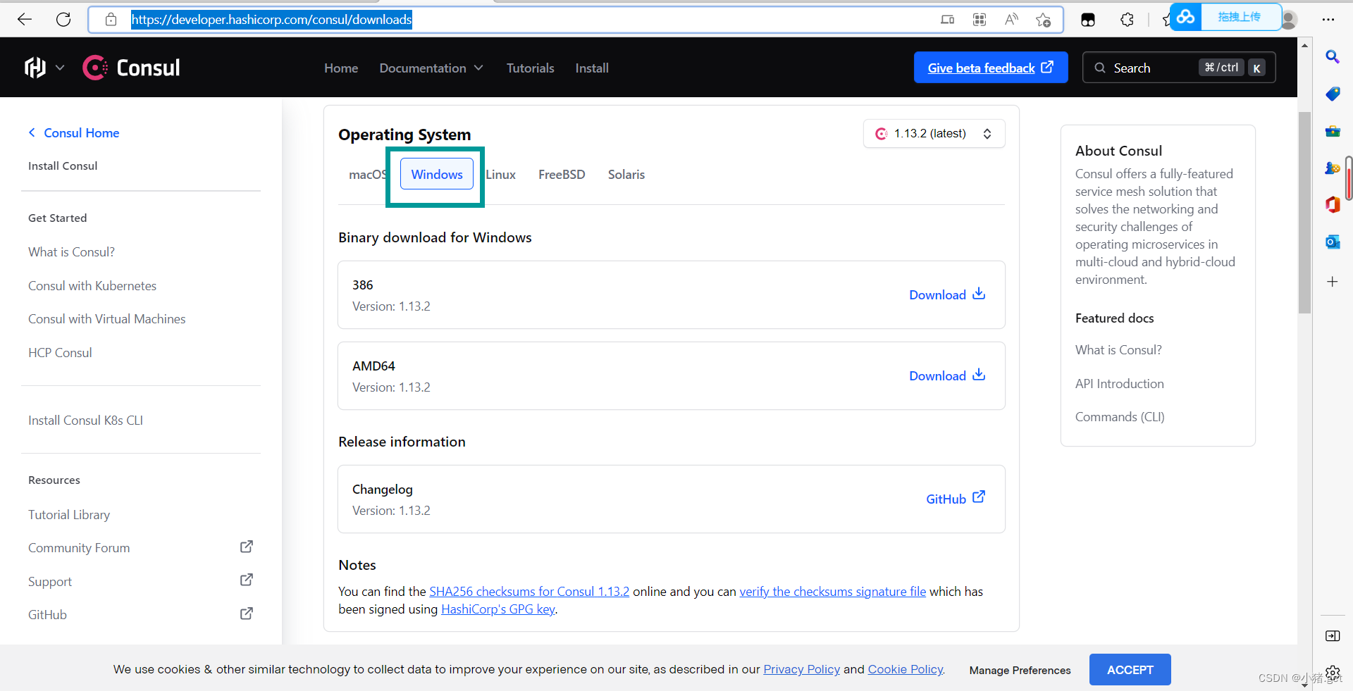 Consul服务注册与发现_consul agent -dev -client-CSDN博客