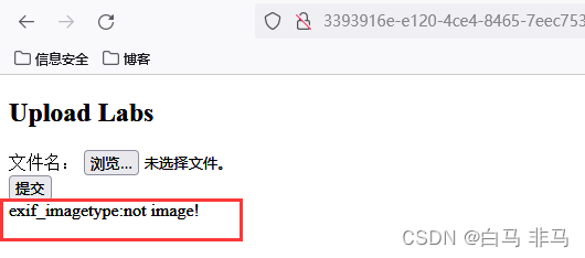 青少年CTF——CheckIn文件上传绕过——WriteUp_ctf checkin-CSDN博客