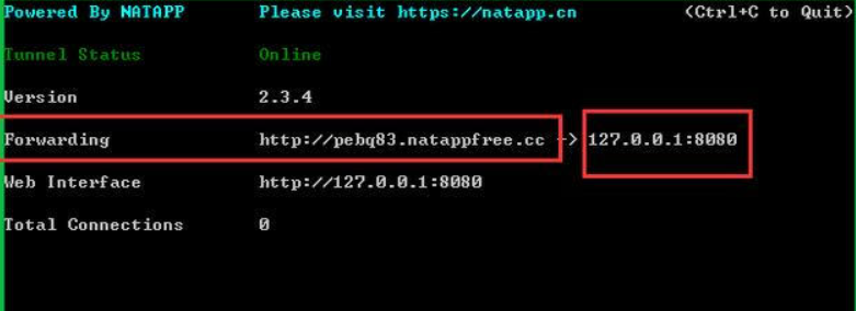 Natapp内网穿透部署本机服务器的JavaWeb项目流程_natapp部署前端项目-CSDN博客