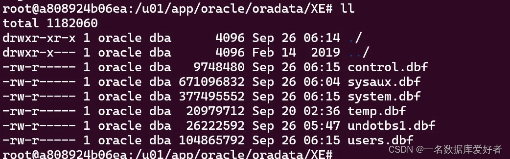 Oracle rman 备份恢复使用_rman 会备份用户么-CSDN博客