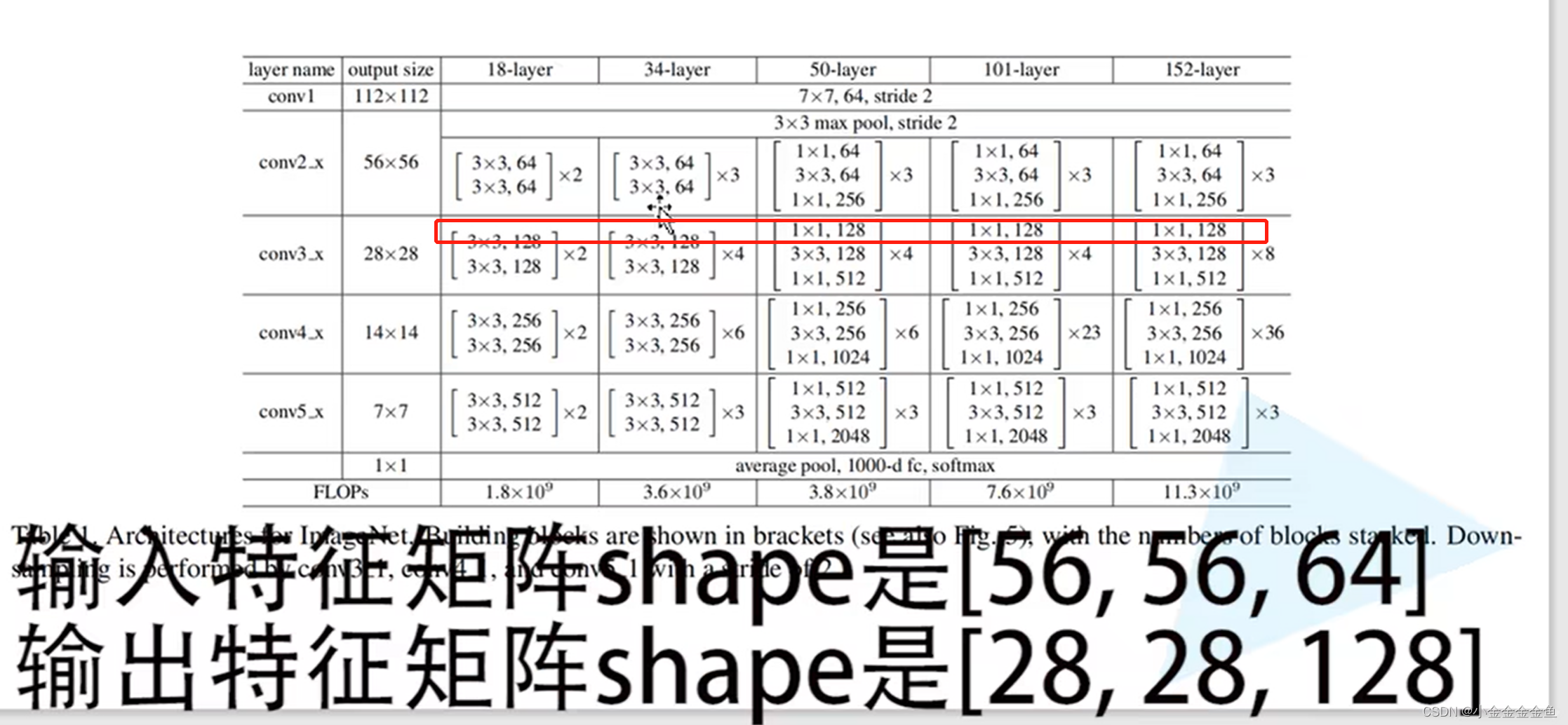 人工智能学习07 Pytorch14 Resnet网络bn迁移学习详解pytorch搭建 Csdn博客