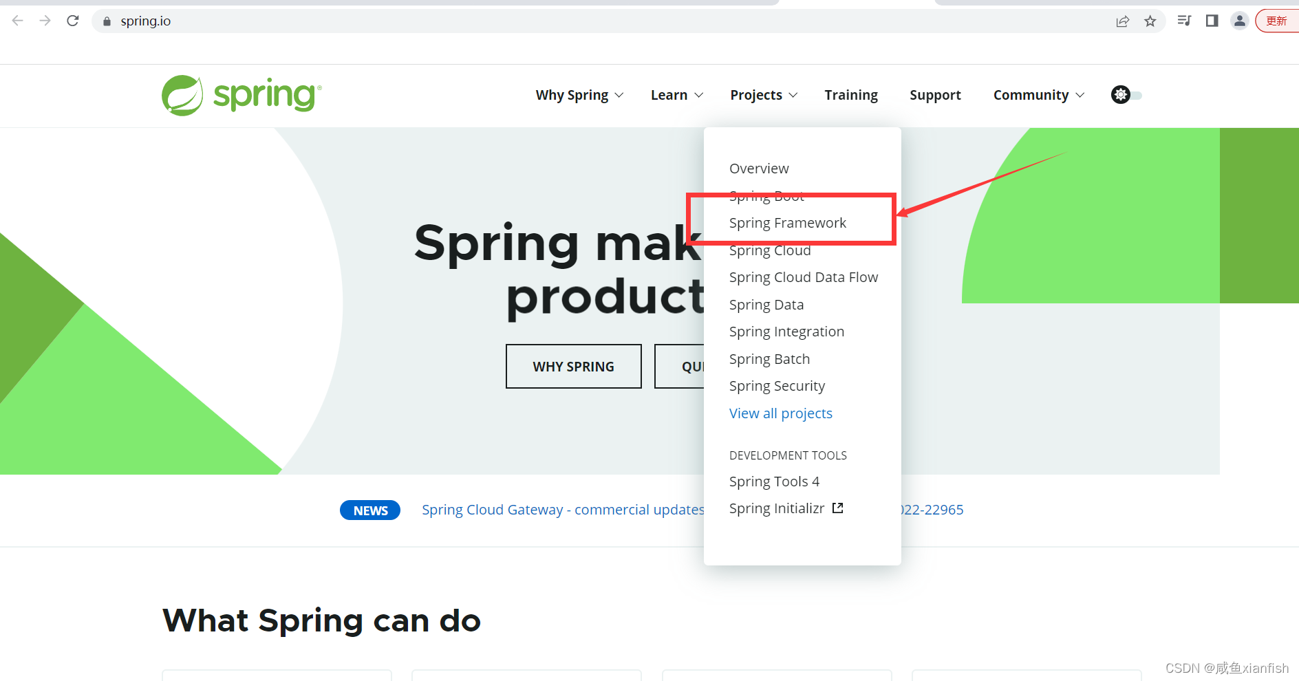 Spring下载教程 保姆级 Csdn博客