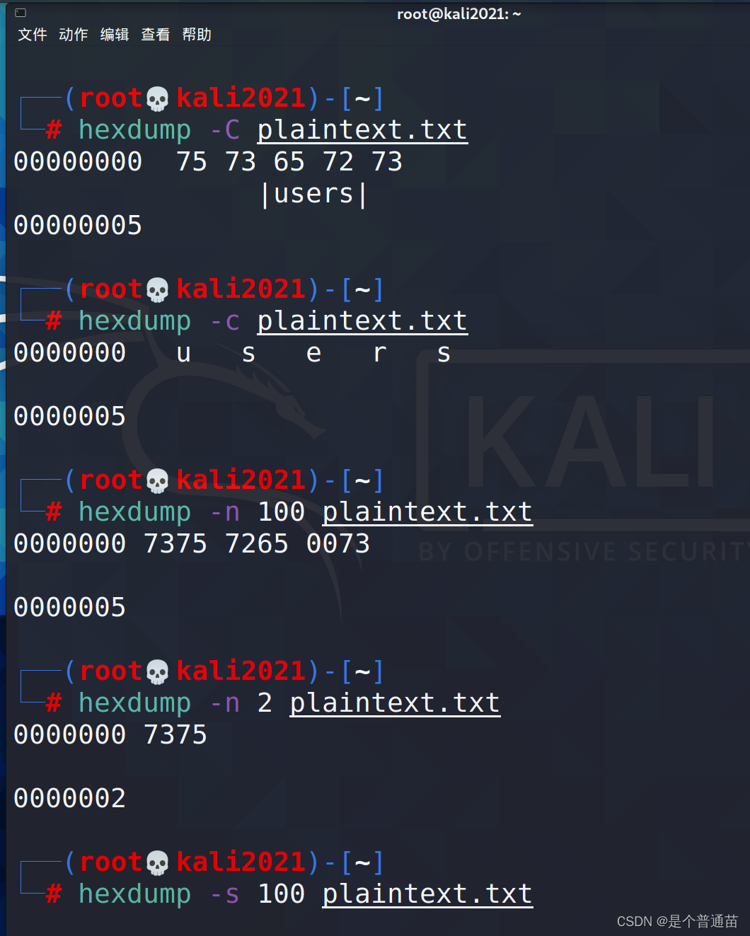 kali Linux使用命令进行16编码、使用hexdump命令查看各类文件_kali xxd-CSDN博客